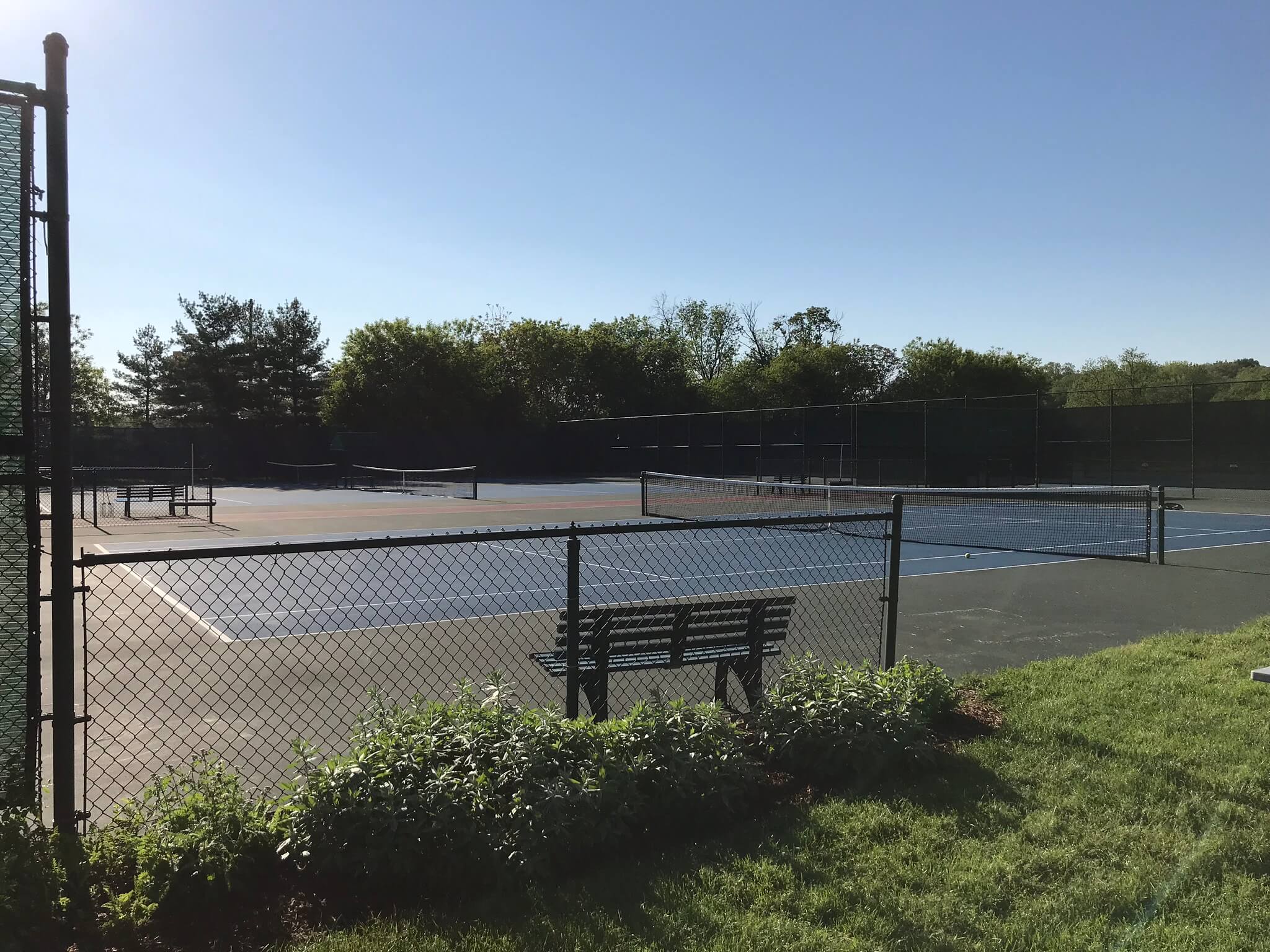 Tennis | Racquet Club of Ann Arbor